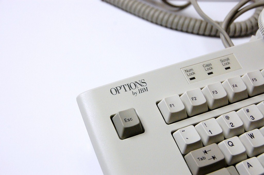 1994 Options for IBM model M15 (ergonomic) 13H6689 02 NOV 94 NEW ...
