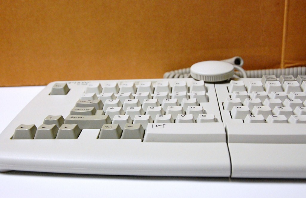 1994 Options for IBM model M15 (ergonomic) 13H6689 02 NOV 94 NEW ...
